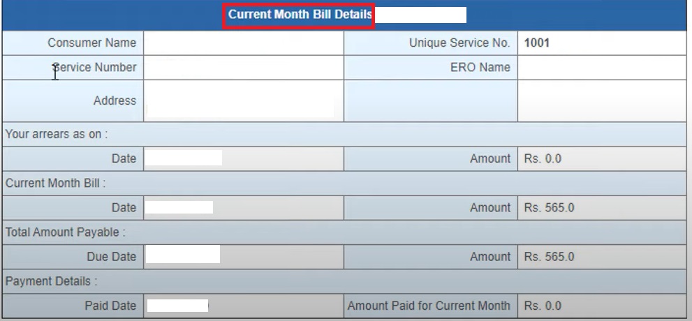 Tsspdcl online bill store