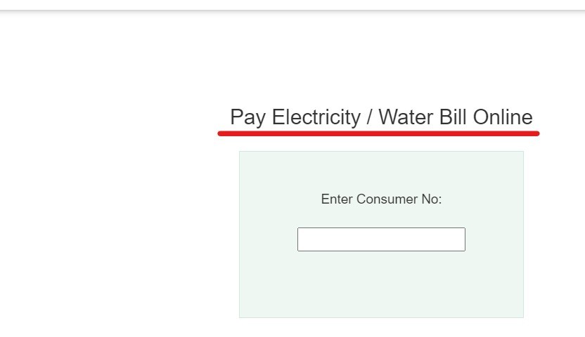 Ndmc electricity bill payment store