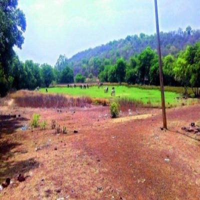 Agriculture land for sale in Chhawla, Delhi / NCR - Farm land for sale ...