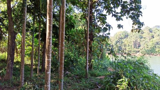 Residential land / Plot for sale in Usgao Goa - 59737 Sq. Yard.