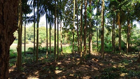 Residential land / Plot for sale in Usgao Goa - 59737 Sq. Yard.