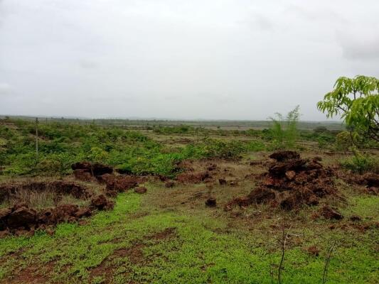 Agriculture land for sale in Devgad Sindhudurg - Farm land for sale in ...