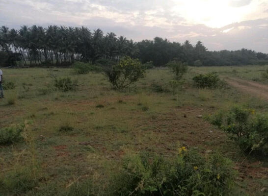 Property in Irugur Coimbatore from 50 lakhs to 75 lakhs - 13+ Property ...