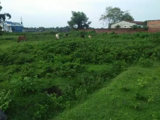 Plots for sale in Uttorayon Twp Siliguri - Residential Land / Plots in ...