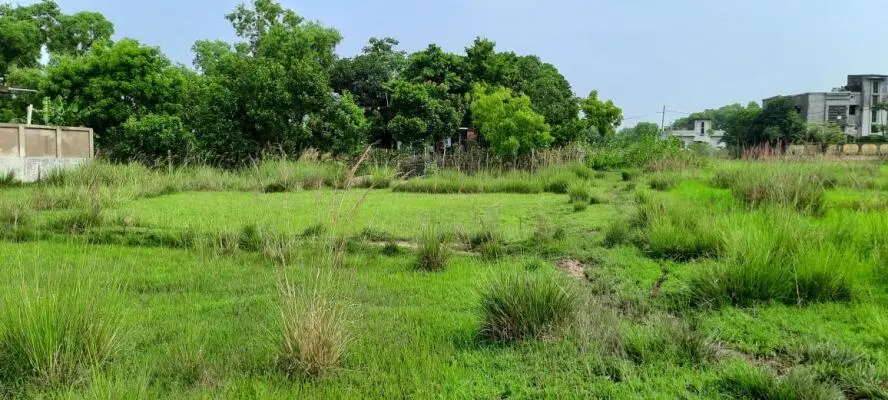 Authority Approved Plots in Satyanagar Balasore - Authority Approved ...