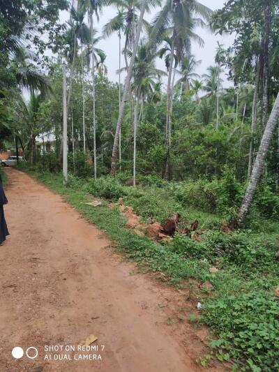 Residential land / Plot for sale in Kuthuparamba Kannur - 1936 Sq. Yard.