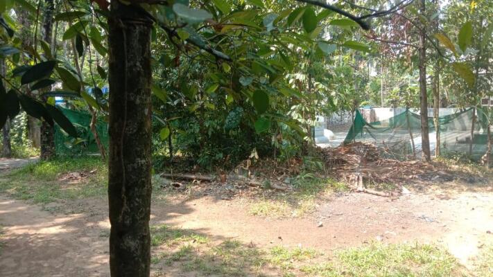 Freehold Plots in North Paravoor Kochi - Freehold Land / Plots for sale ...
