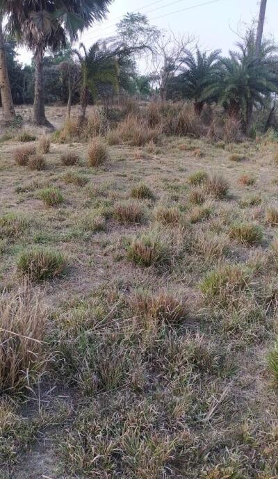 Industrial land / plot for sale in malda - 320 Sq. Yard.