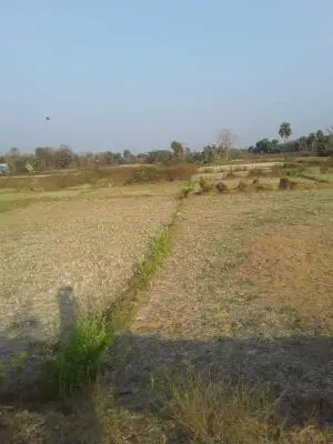 Plots in Athmallik Angul from 10 lakhs to 15 lakhs - Residential Land ...