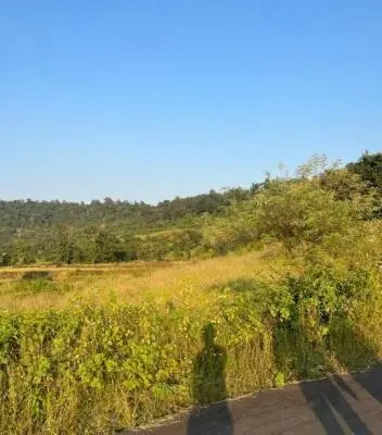 Plots for sale in Pali Raigad - 13+ Residential Land / Plots in Pali Raigad