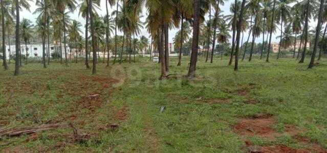 Property in Hosadurga Chitradurga - Real Estate in Hosadurga Chitradurga