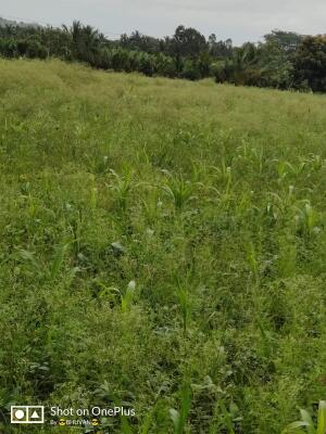 Agriculture land for sale in Mysore without brokerage - Farm land for ...