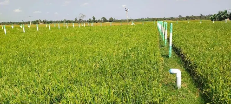 Agriculture land for sale in India - 7815+ Farm land for sale in India