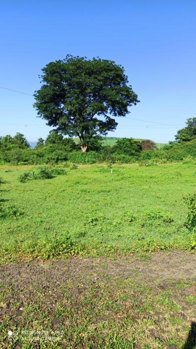 East Facing Plots in Saidapur Satara - 1+ East Facing Land / Plots for ...