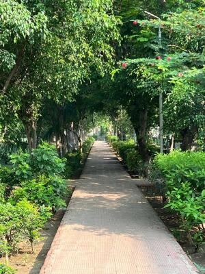 Residential land / Plot for sale in Sector 46 Noida - 538 Sq. Yard.