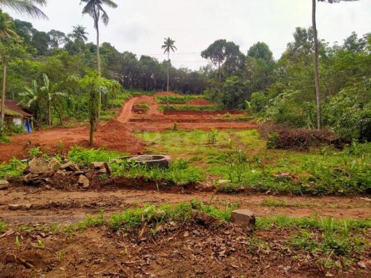 East Facing Plots in South Pampady Kottayam - East Facing Land / Plots ...