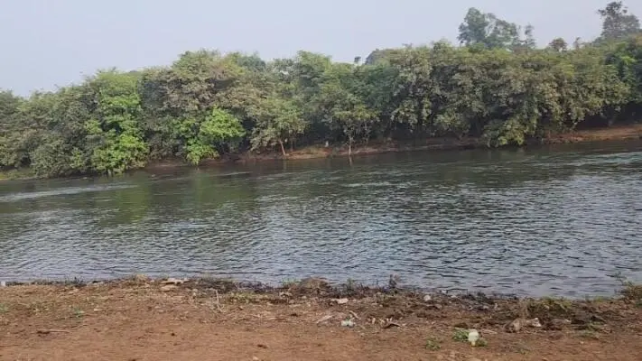 Agriculture land for sale in Maharashtra - 1176+ Farm land for sale in ...