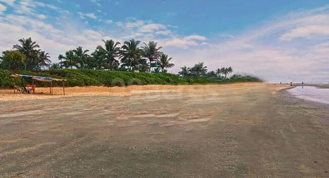 Corner Plots in Velsao, Goa - 2+ Corner Land/ Plots for sale in Velsao, Goa