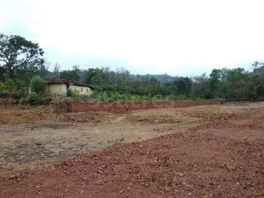 2 BHK Farm house for sale in Valpoi Goa - 252 Sq. Ft.