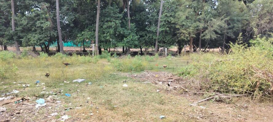 Gated Community Plots in Pamuru Vijayawada - Properties