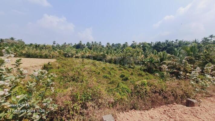 East Facing Plots in Mayannur Thrissur - East Facing Land / Plots for ...