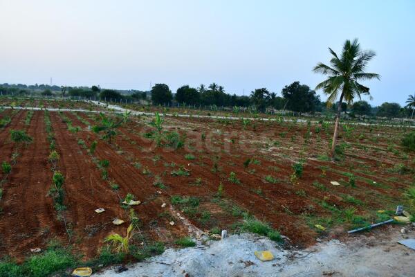 Freehold Plots in Rajankunte Bangalore - 10+ Freehold Land / Plots for ...