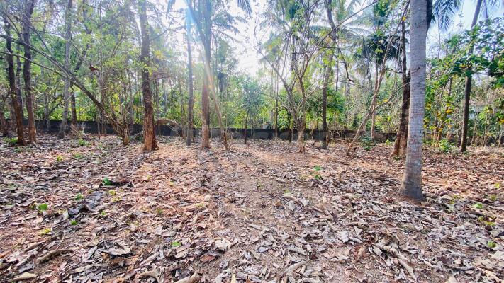 Property in Painkulam Thrissur - Real Estate in Painkulam Thrissur