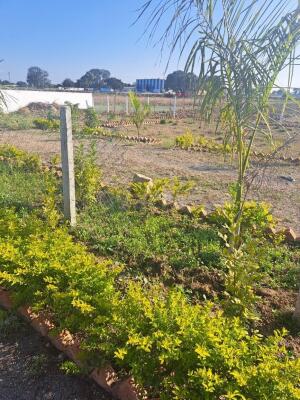 Plots for sale in Rewa - 40+ Residential Land / Plots in Rewa