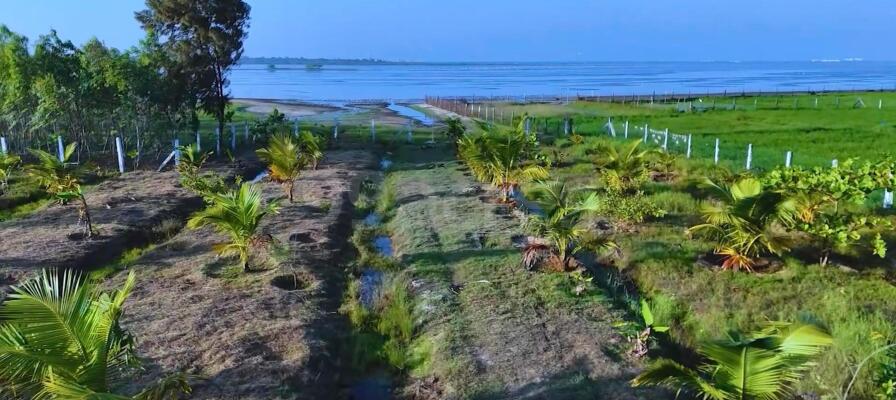 Residential land / Plot for sale in Cheyyur Kanchipuram - 5130 Sq. Yard.