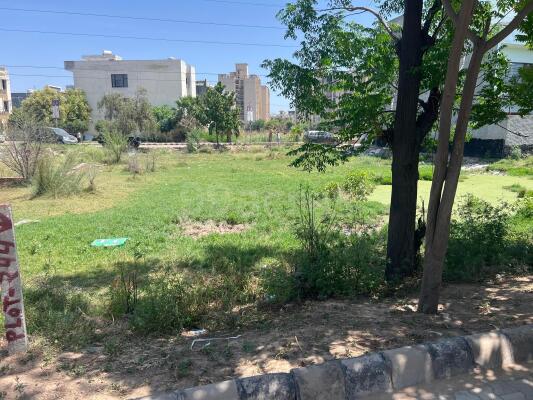 Residential land / Plot for sale in Sector 115 Mohali - 200 Sq. Yard.