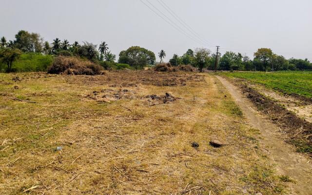 Agriculture / Farm land for sale in Rahuri Ahmednagar - 14520 Sq. Yard.