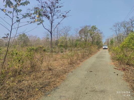 Residential land / Plot for sale in Canacona Goa - 16667 Sq. Yard.