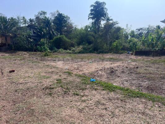 Residential land / Plot for sale in Curtorim Goa - 554 Sq. Yard.