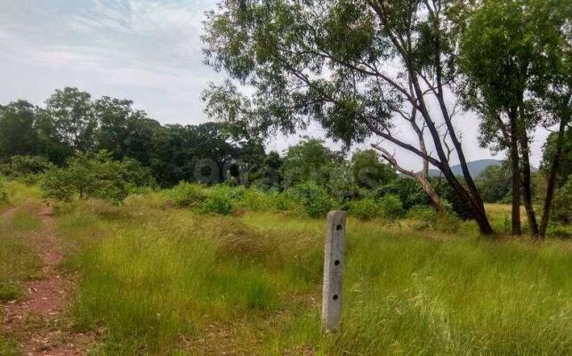 4499 sq yard to 8999 sq yard - Residential land for sale in South Goa