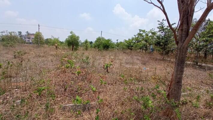 Residential land in BTM Layout Bangalore from 30 lakhs to 35 lakhs - 2 ...