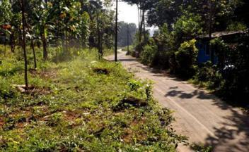 1 crore to 2 crores - Property for sale in Panangad Kochi