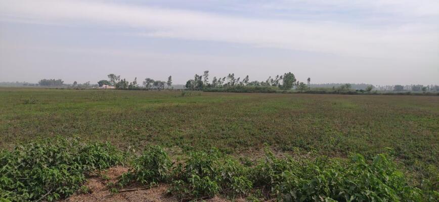 Agriculture / Farm land for sale in Indira Nagar Indira Nagar Lucknow ...