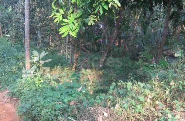 Plots for sale in Atholi Calicut - 4+ Residential Land / Plots in ...