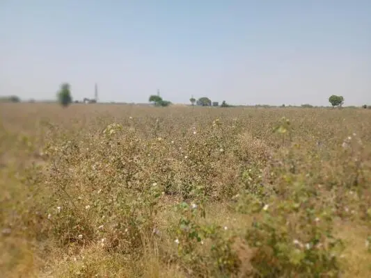 East Facing Plots in Amod Bharuch - East Facing Land / Plots for sale ...