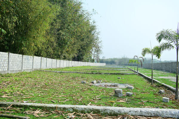 Gated Community Plots in Bhujiapani Siliguri - 2+ Properties