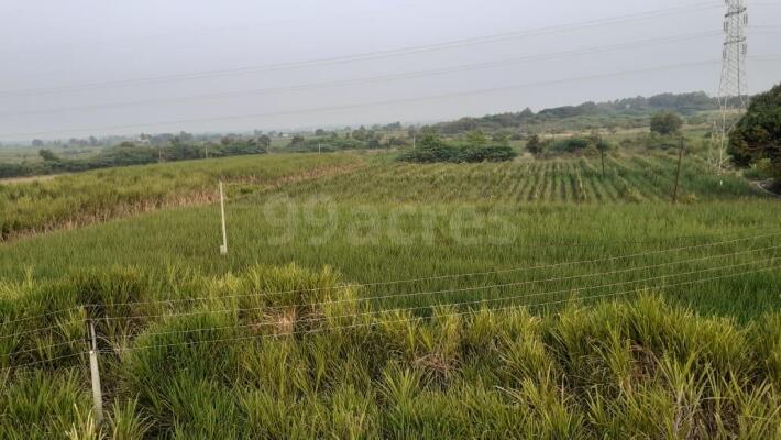 Commercial property in Lonand MIDC Satara - Commercial property for ...