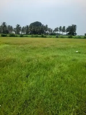 10 crores to 20 crores - Commercial land in MMDA, Mathur, Chennai