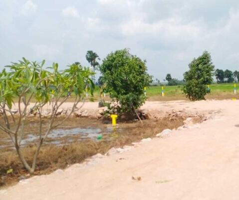 Plots for sale in Mustabad Vijayawada - 3+ Residential Land / Plots in ...