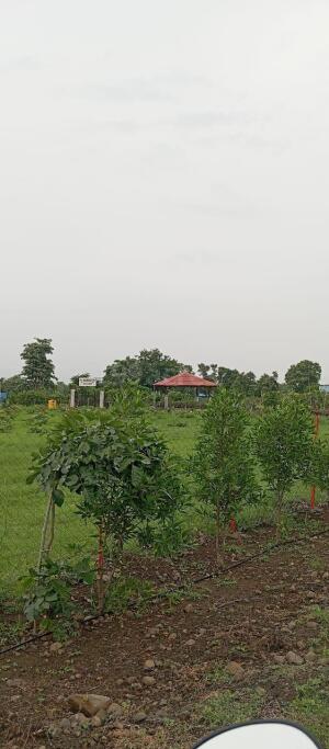 Residential land / Plot for sale in Degma Kh Nagpur - 667 Sq. Yard.