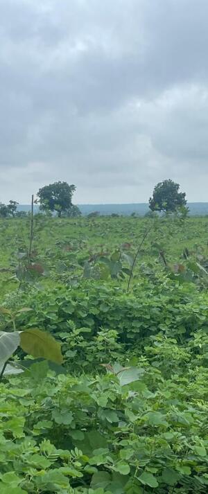 Residential land / Plot for sale in Degma Kh Nagpur - 667 Sq. Yard.
