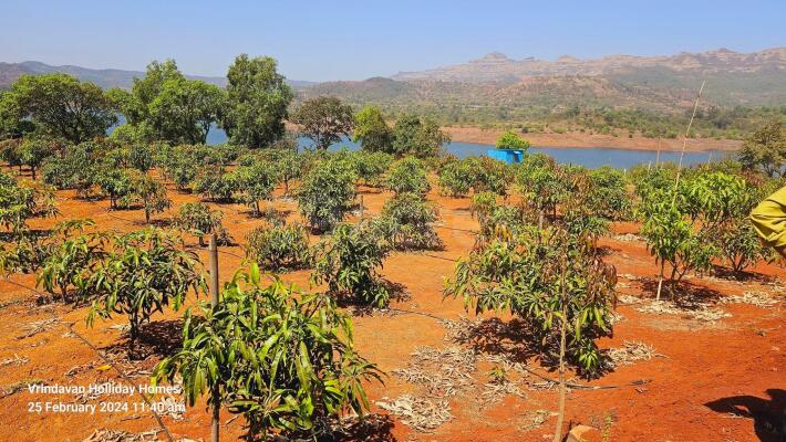 Agriculture land for sale in Pune - Farm land for sale in Pune