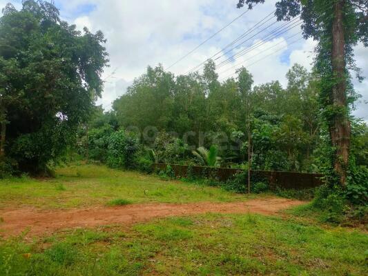 Agriculture land for sale in Udupi - Farm land for sale in Udupi
