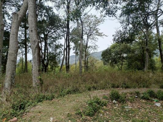 Resale Property in Banuri Palampur - Second hand Property for sale in ...