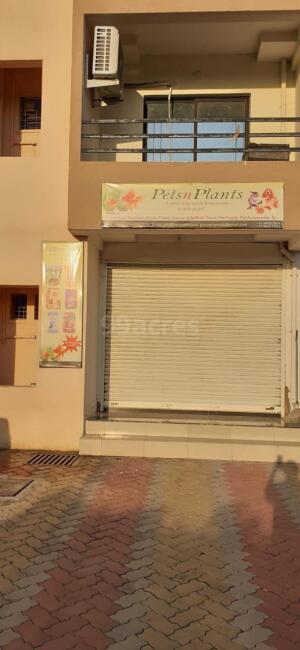 Shop for rent in New Shukrawari Nagpur - Shop in New Shukrawari Nagpur