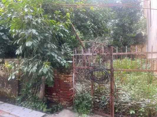 Gated Community Plots in Sector 55, Noida - 11+ Properties